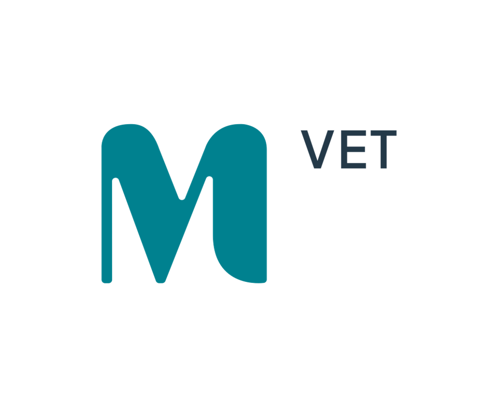 IDEXX CATALYST WHITE OPTICAL SLIDE PACK N1 98-17137-00